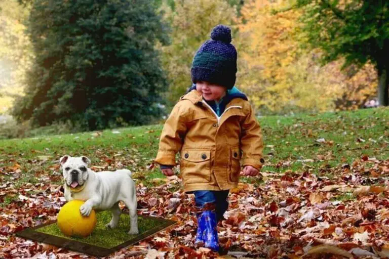 19 Small Dog Breeds That Are Good With Kids (Explained)